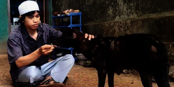Heboh Foto Pria Berpeci Putih Suapi Anjing Sakit | Dream.co.id