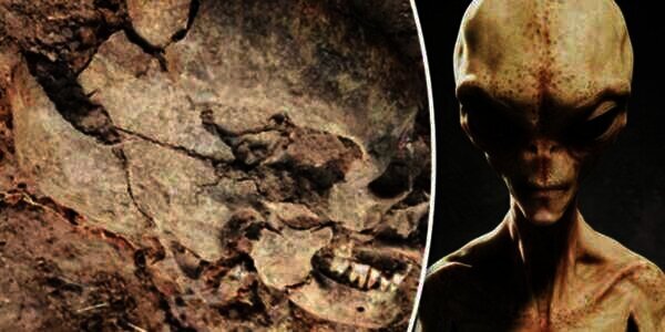 Tengkorak Aneh Lonjong Seperti Telur, Jasad Alien? | Dream.co.id