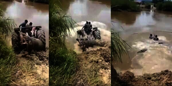 Traktor 'Amphibi' Bisa Menyelam dan Mesin Tidak Mati Bikin Netizen ...