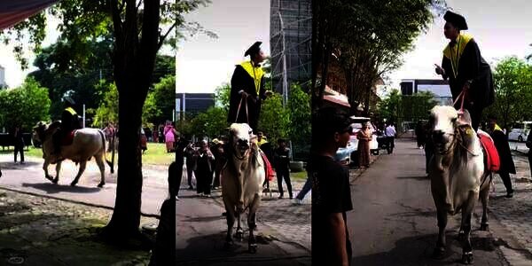 Heboh! Bukan Mobil atau Motor, Mahasiswa Datang ke Kampus untuk Wisuda ...