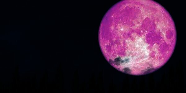 Fenomena Langka Pink Moon akan Menghiasi Langit Mulai Malam Ini | Dream ...