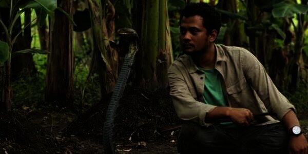 Panji Petualang Pamer Monyet Putih, Hanoman di Dunia Nyata ...