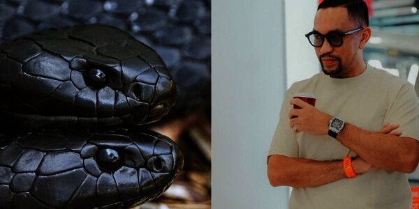 Apa Itu Black Mamba? Dari Julukan Ular Mematikan, Nama Atlet, hingga ...