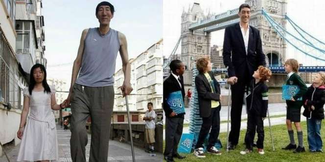 15 'Raksasa' Yang Masih Hidup Hingga Saat Ini | Dream.co.id