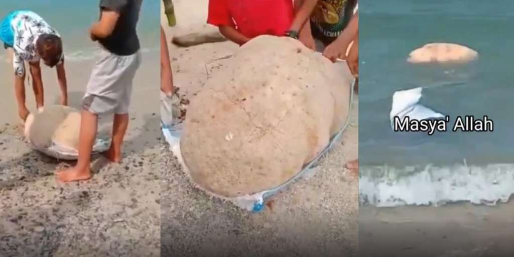 Viral Pembuktian Batu Ajaib di Sulteng Seberat 100 Kg Tetap Bisa ...