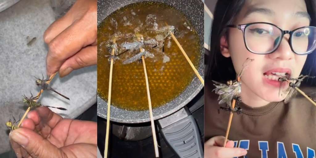 Viral, Gadis Makan Makanan Ekstrem Capung Goreng, Rasanya Seperti Ikan ...