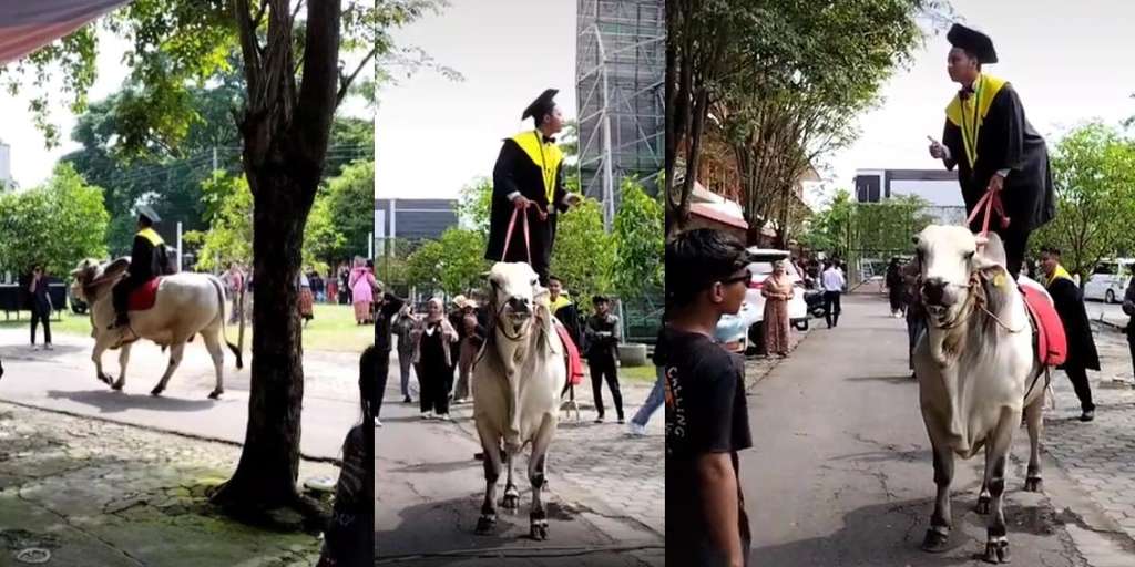 Heboh! Bukan Mobil atau Motor, Mahasiswa Datang ke Kampus untuk Wisuda ...