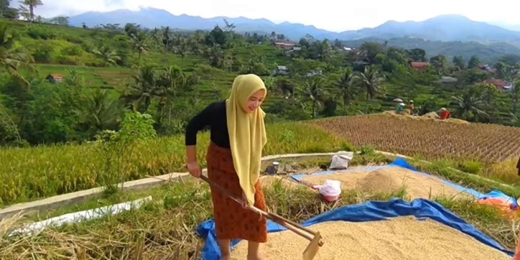 Viral Janda Desa Cantik Bak Bidadari, Disebut Mutiara Tersembunyi di Kampung Terpencil ...