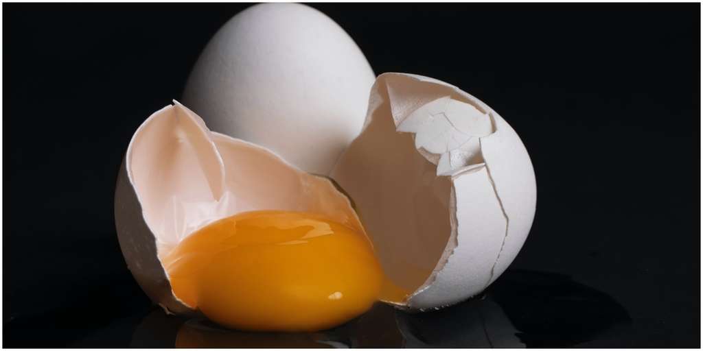 8 Arti Mimpi Telur Pecah, Pengingat agar Tidak Hidup Boros dan Kelola ...