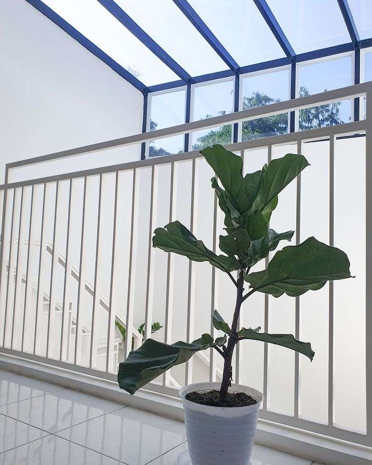 Rumah Mungil dengan Skylight, Cahaya Jadi Maksimal | Dream.co.id
